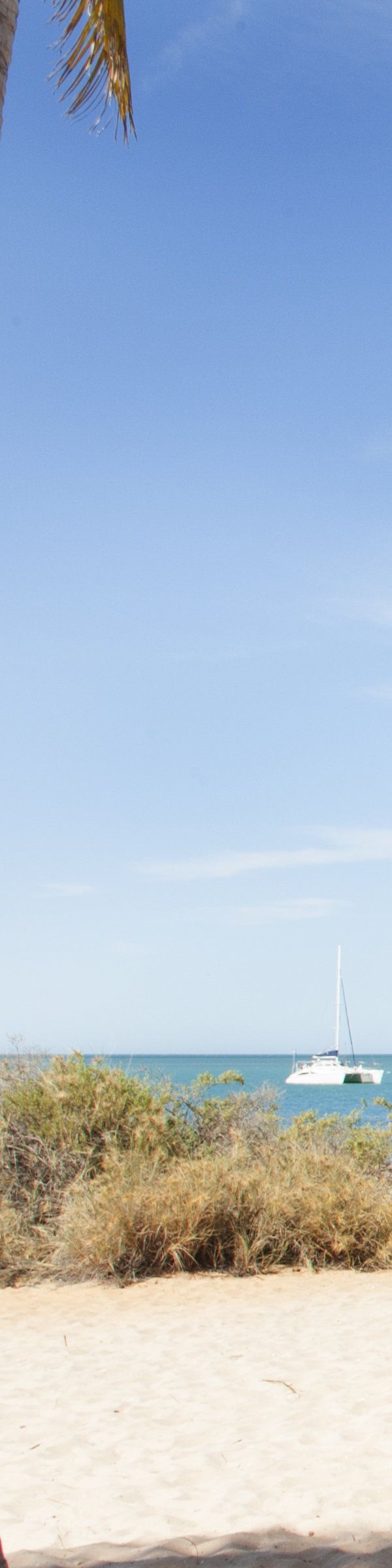 Rac Monkey Mia Dolphin Resort - Shark Bay