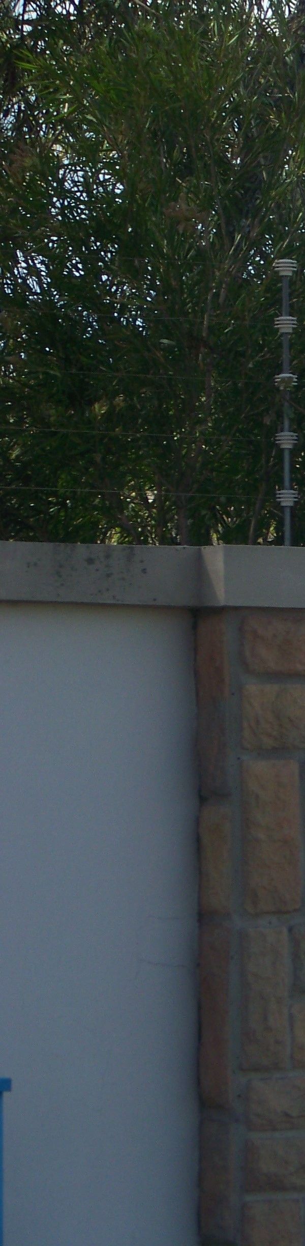 Europa Inn - East London