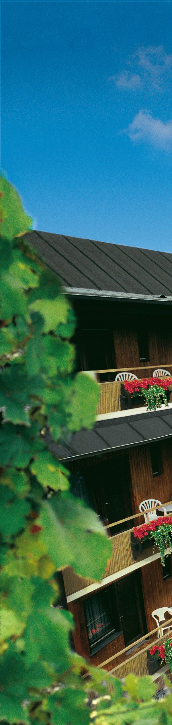 Zum Guten Onkel Moselstern Hotels - Treis-Karden