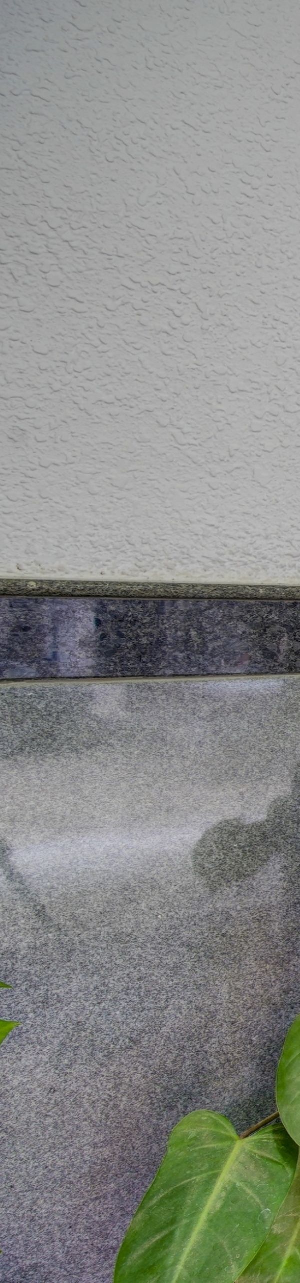 Hotel Nevesa Inn - Bangalore