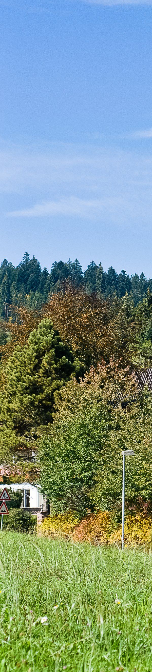 Karin Landhotel - Lauterbad