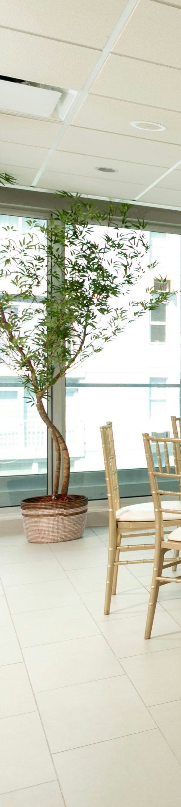 Casa Costera Isla Verde Beach Apartments By Marriott Bonvoy - Puerto Rico