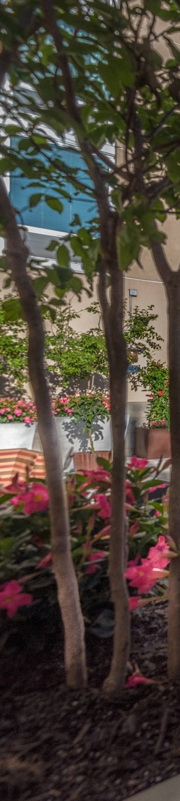 Courtyard By Marriott Bethesda Chevy Chase - Arlington, VA