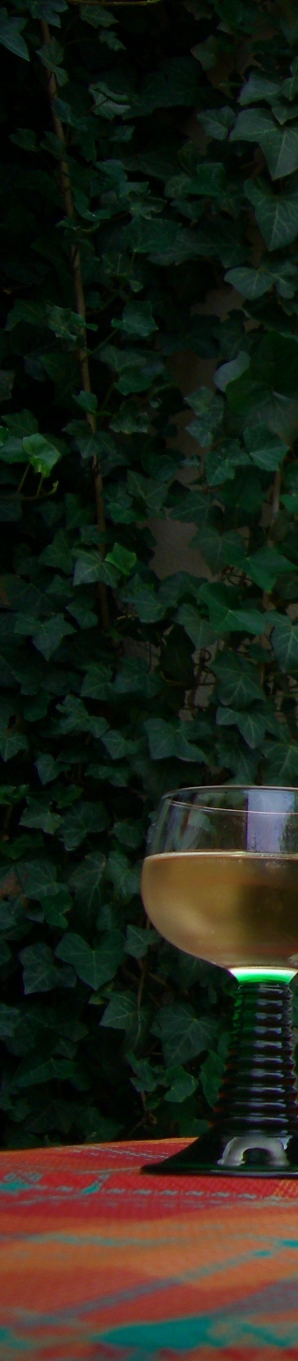 Erbgericht - Dresden