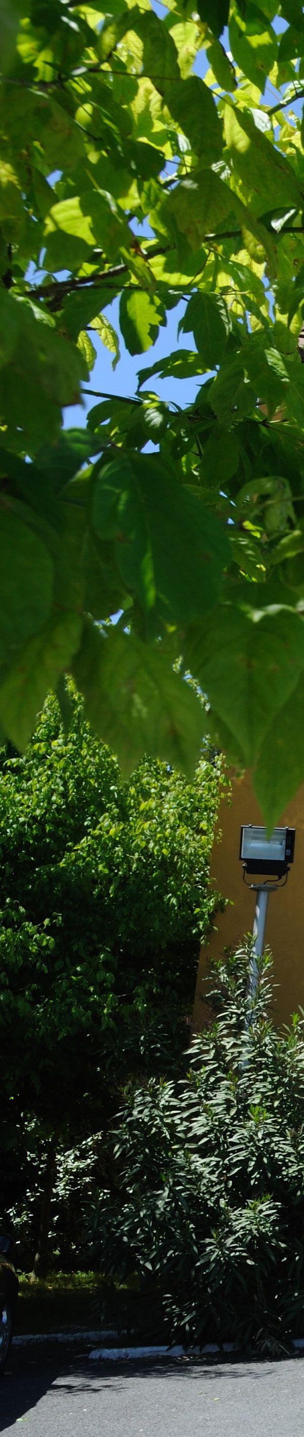 Kyriad Direct Bordeaux Lormont - Bassens