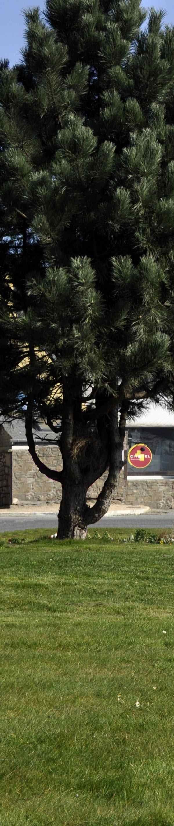 Citotel Les Sternes - Perros-Guirec