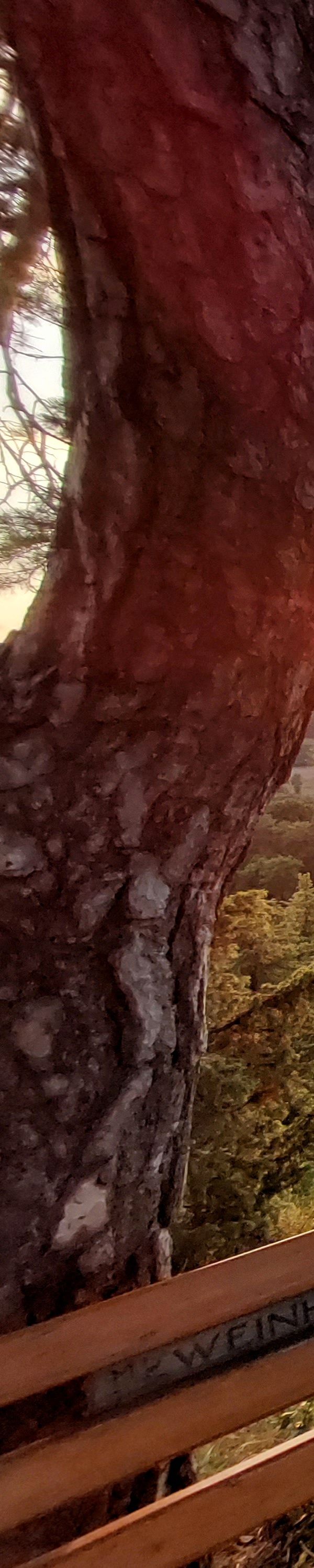 Augustin Landferienhotel - Bad Staffelstein