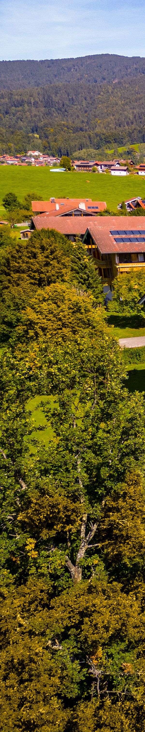 Das Wiesgauer – Alpenhotel Inzell - Siegsdorf