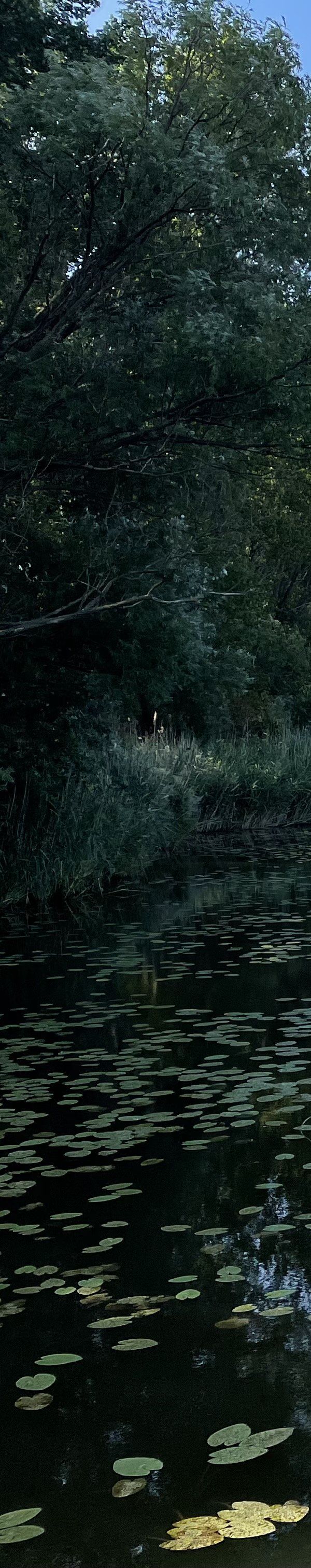 Gyirmót Sport & Wellness - Győr