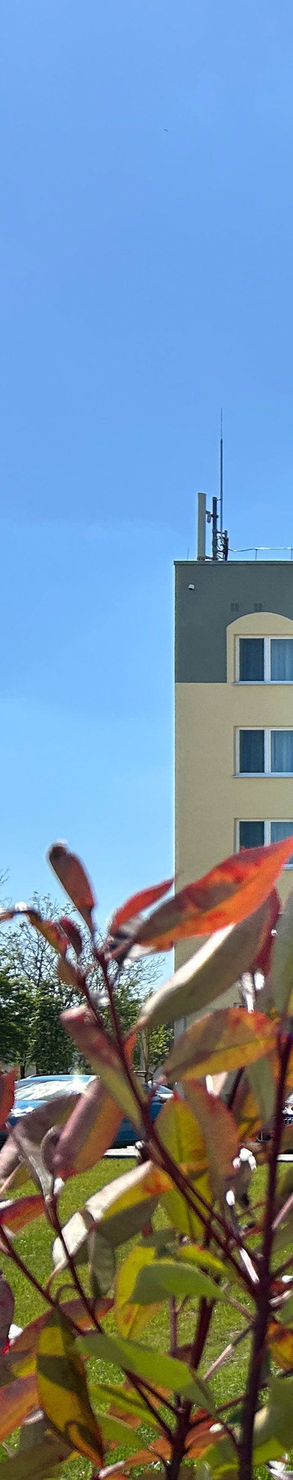 Hotel Restaurant Elbebrücke - Coswig