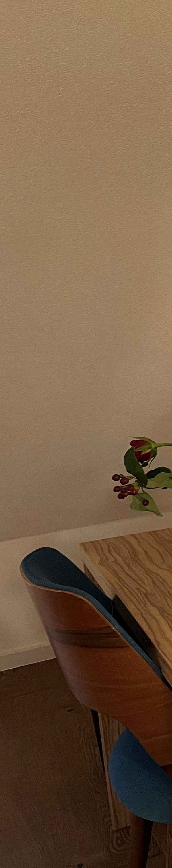 Landgasthof Zur Burg Grenzau Gmbh & Co. Kg - Rheinland-Pfalz