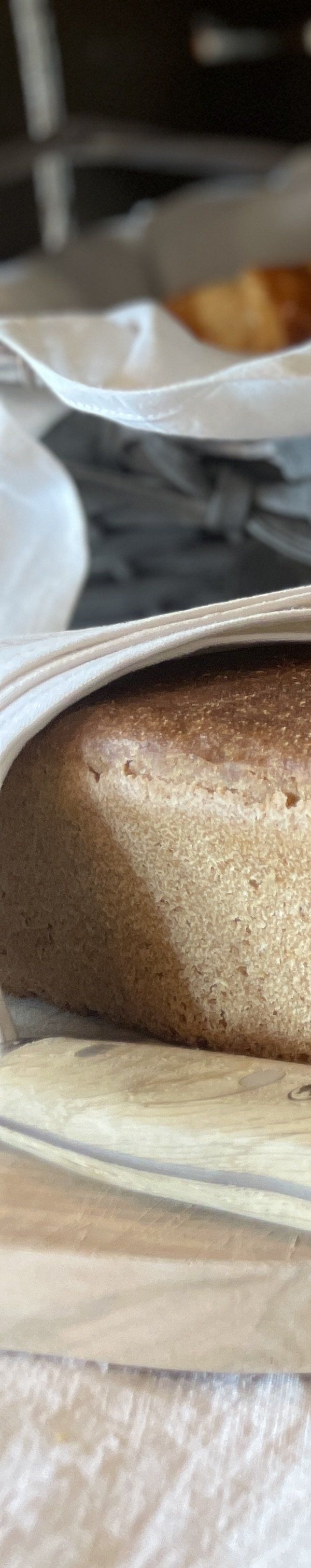 Bois Vialotte - Le Chambon-sur-Lignon