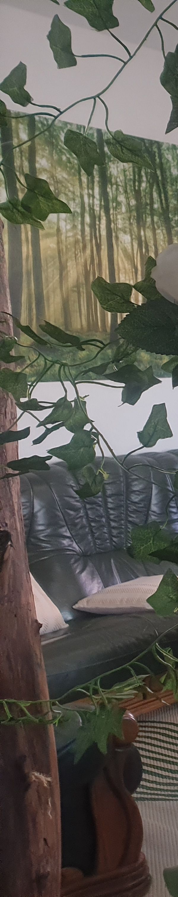 Aux Deux Roses - Biesheim