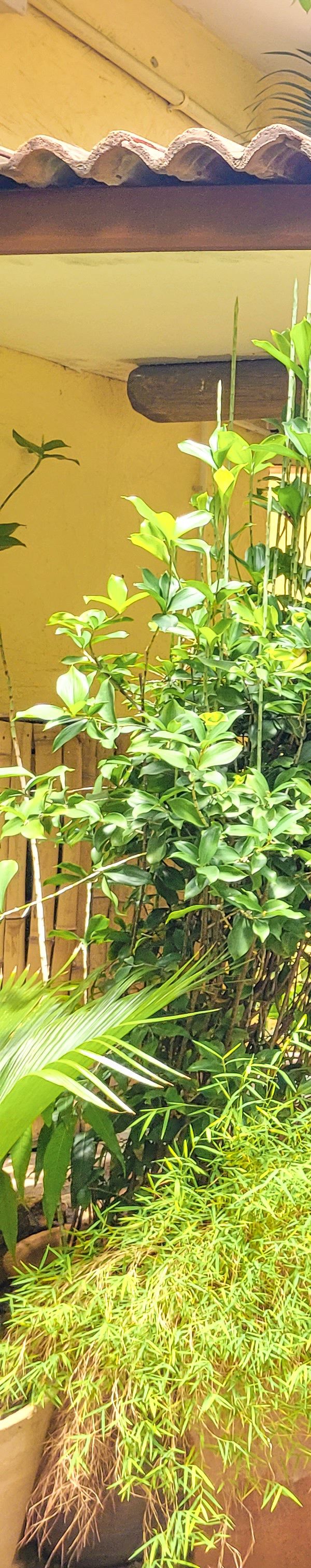 La Villa Boutique Hotel - Accra