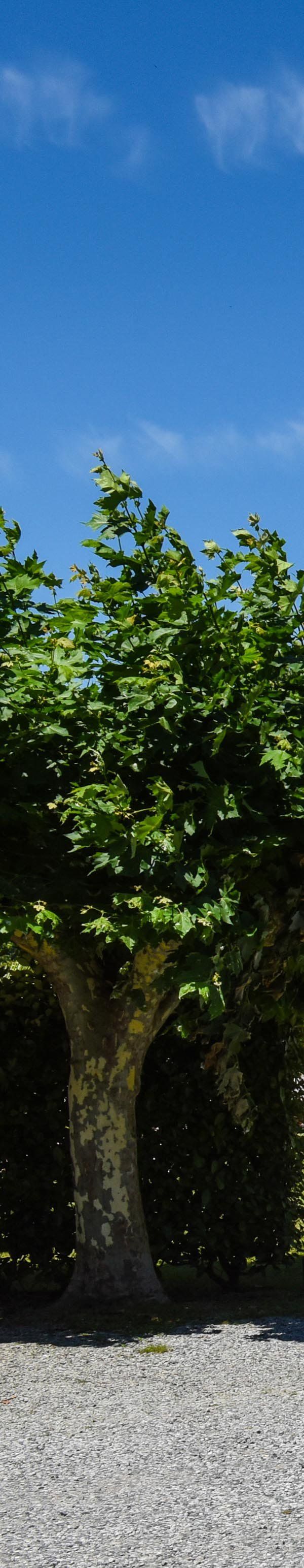 Les Jardins De Bakea Chateaux & Hotels Collection - Irun