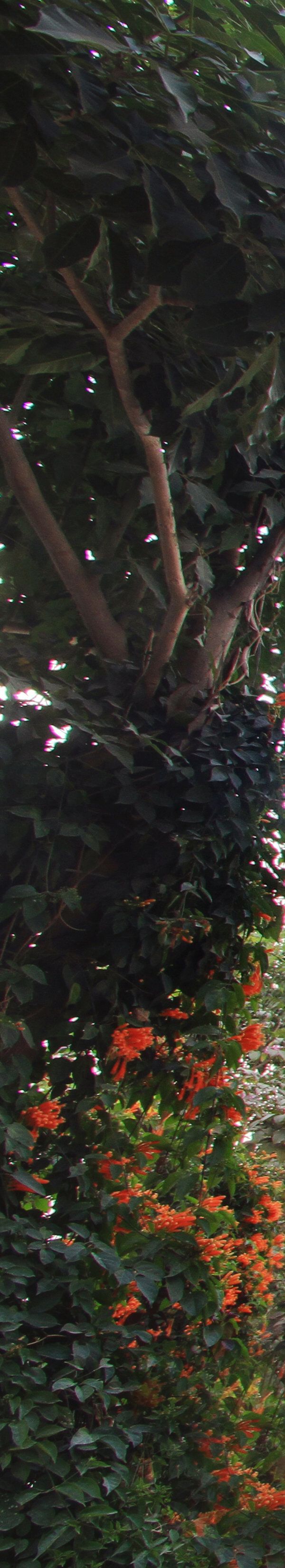 White Castle Boutique Corporate Residences - Bengaluru