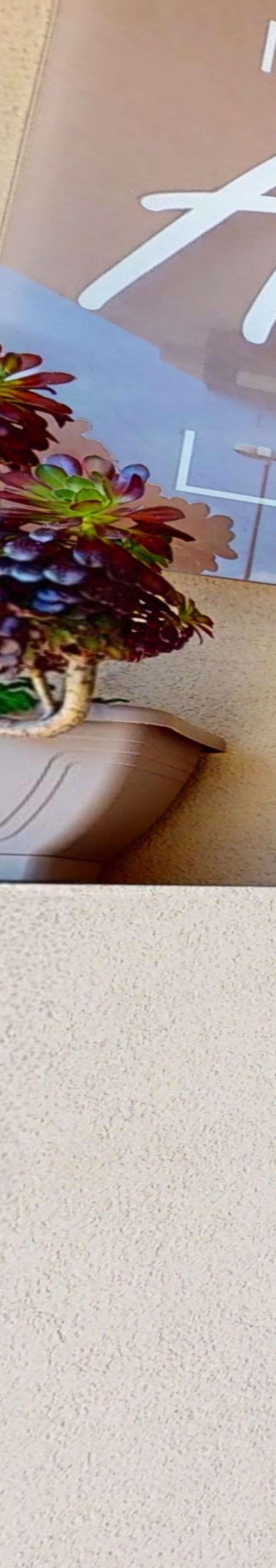 Accomodati B&b - Rooms & Apartments - Siderno