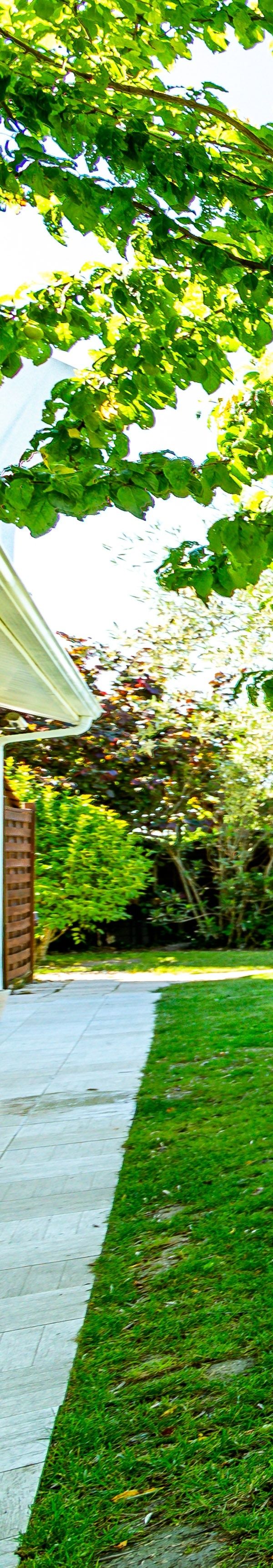 L'oliveraie - Charente