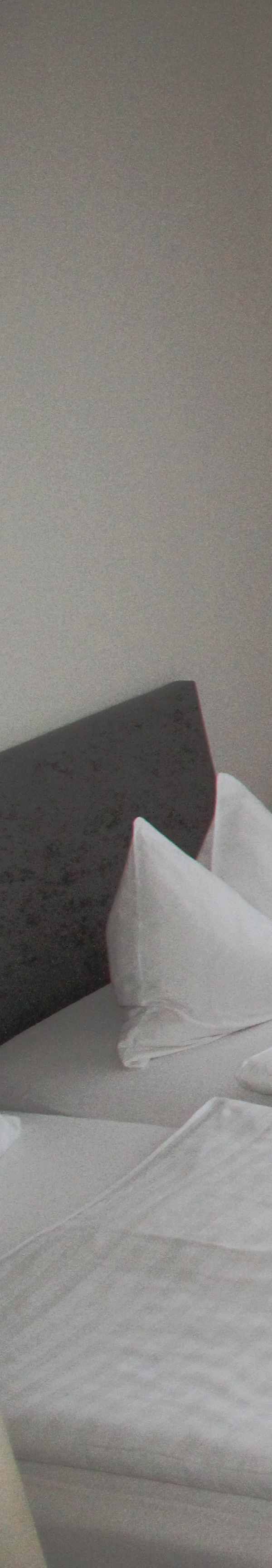 Moser Hotel-restaurant - Waldviertel