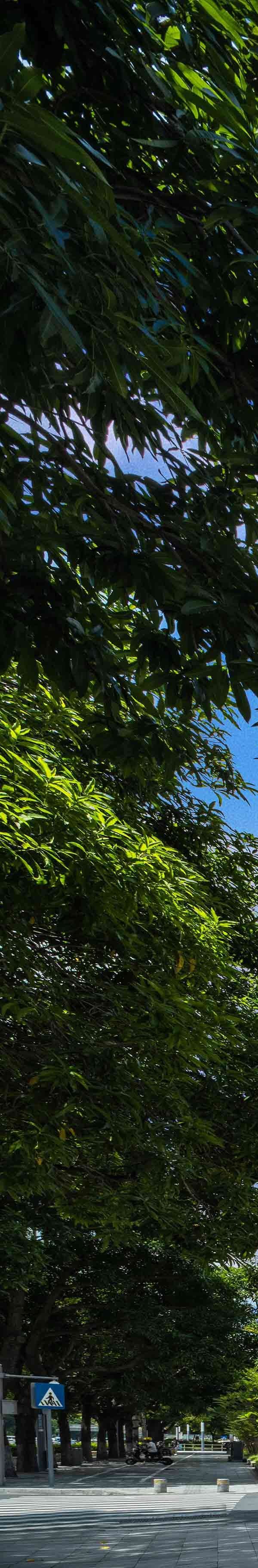 Grand Skylight - Hong Kong