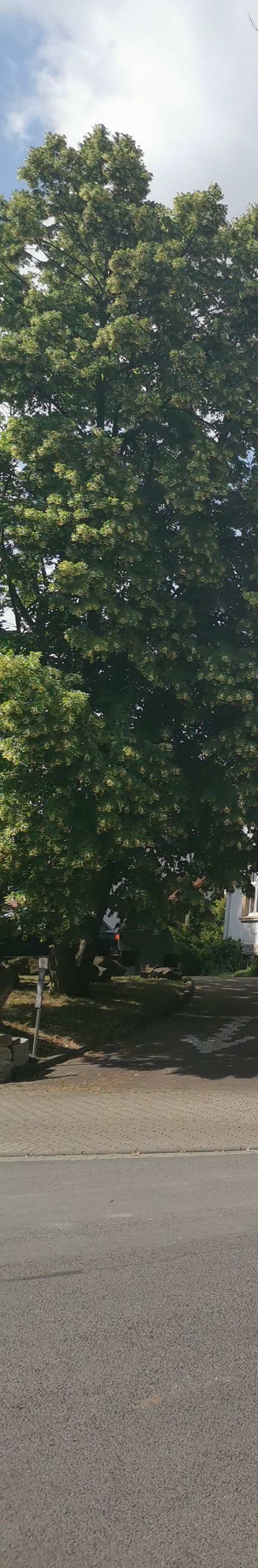 Stadthotel - Heilbad Heiligenstadt