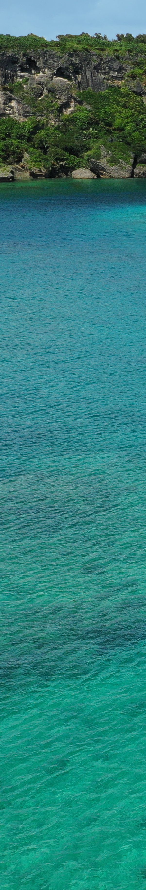 Ana Intercontinental Manza Beach Resort By Ihg - Okinawa