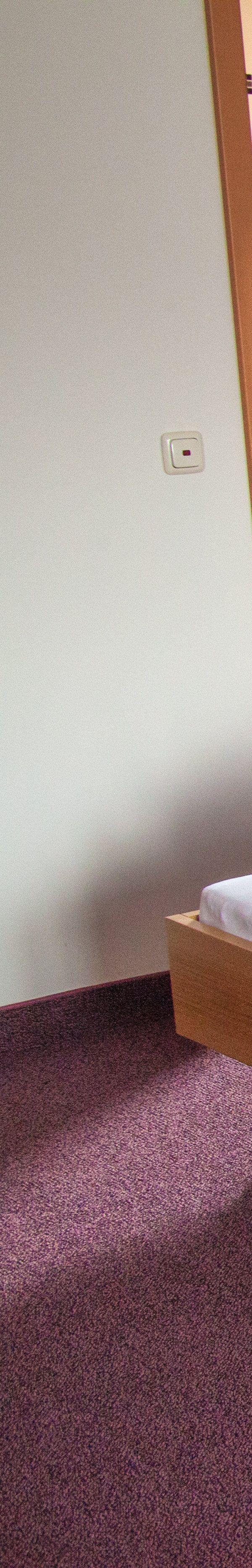 Zum Bäckerwirt Gasthof - Cham