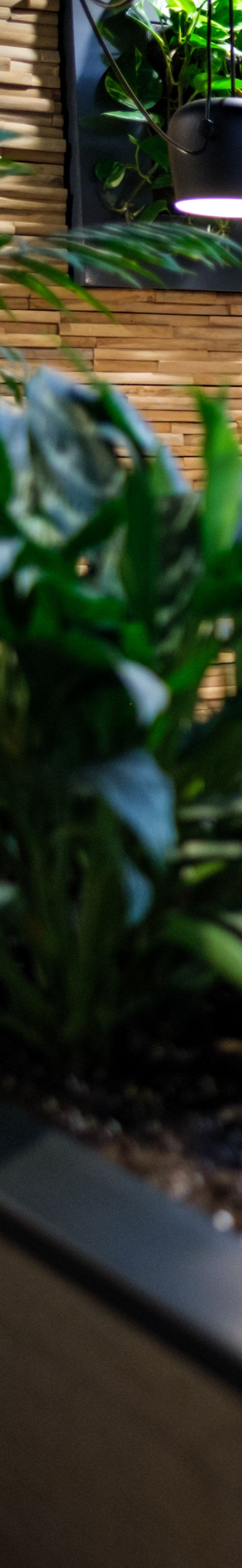 Hotel Le Caballin - Breisach