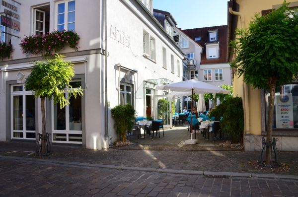 Müller - Würzburg