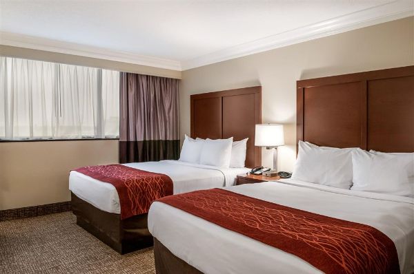 Comfort Inn & Suites At Copeland Tower - Kenner, LA