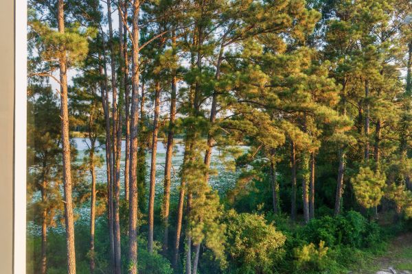 Fairfield Inn And Suites By Marriott Savannah Airport - Savannah, GA