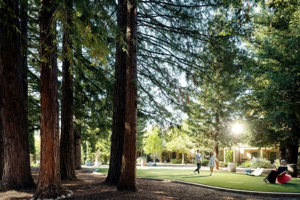 Napa Valley Marriott Hotel And Spa - Sonoma, CA