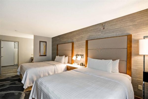 Homewood Suites By Hilton Chicago - Downtown - 