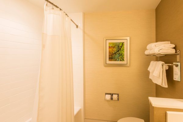 Fairfield Inn And Suites By Marriott Atlanta Fairburn - Fairburn, GA