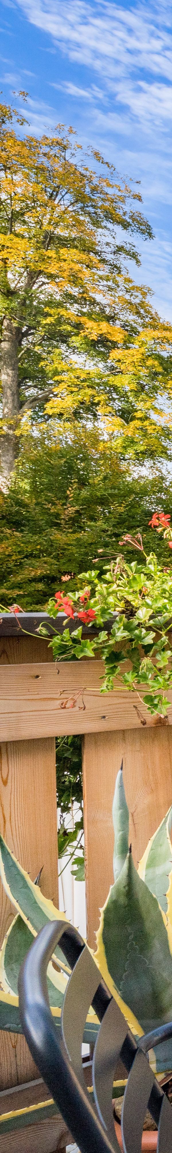 Logis Hotel Quartier 5 - Bad Schandau