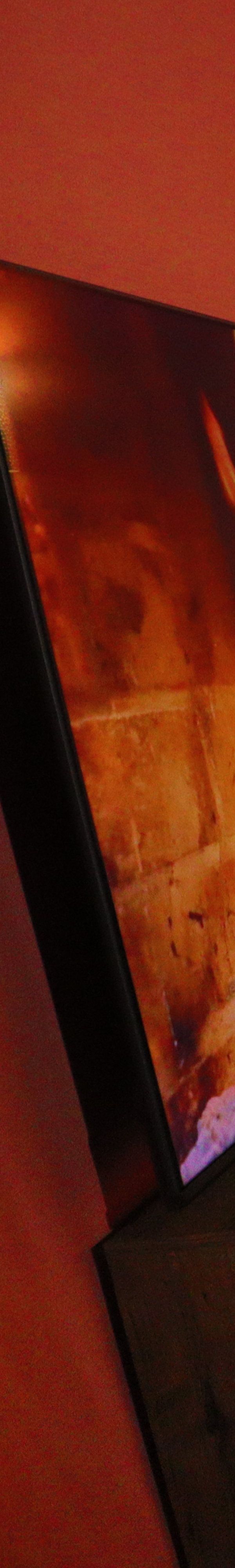 Zum Goldenen Löwen - Cottbus