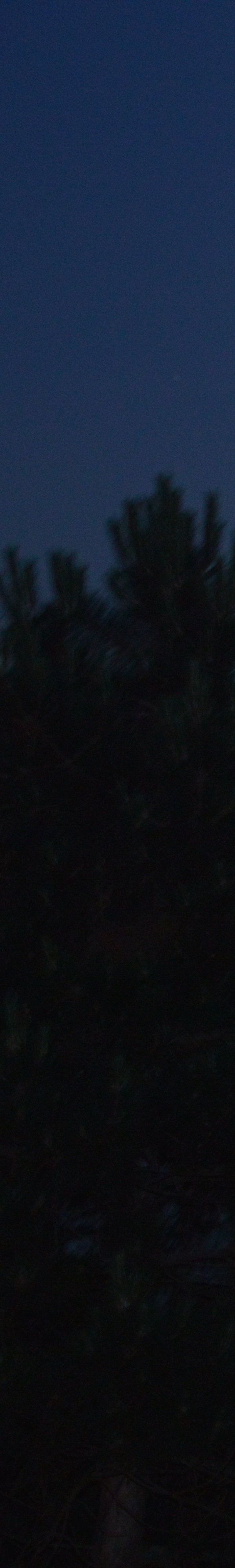 Haus Rheinblick - Leverkusen