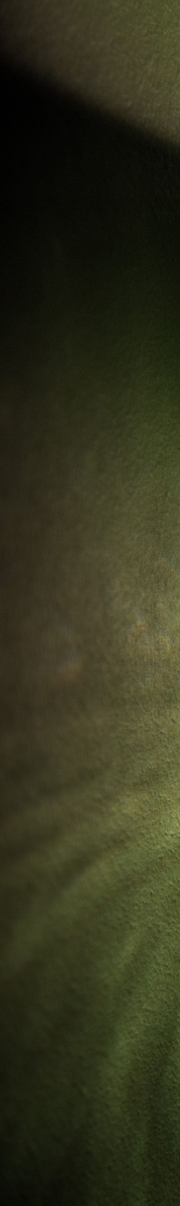 Hotel Tannenhof - Marsberg