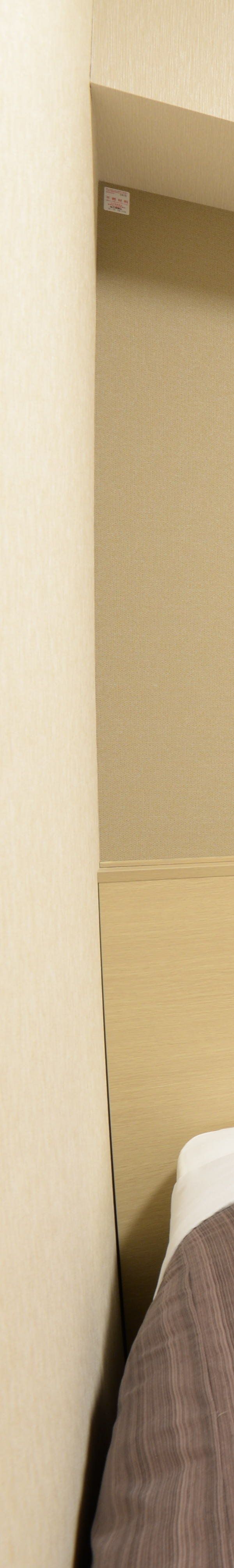 Route Inn Grand Asahikawa Station Square - Asahikawa