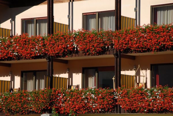 Anna Bio Landhotel - Sud-Tyrol