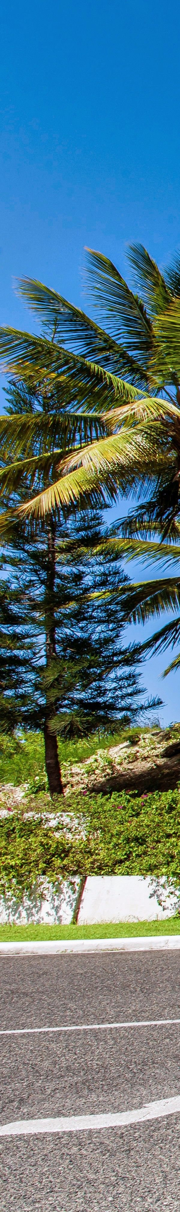 Catalonia Bavaro Resort - Caribbean