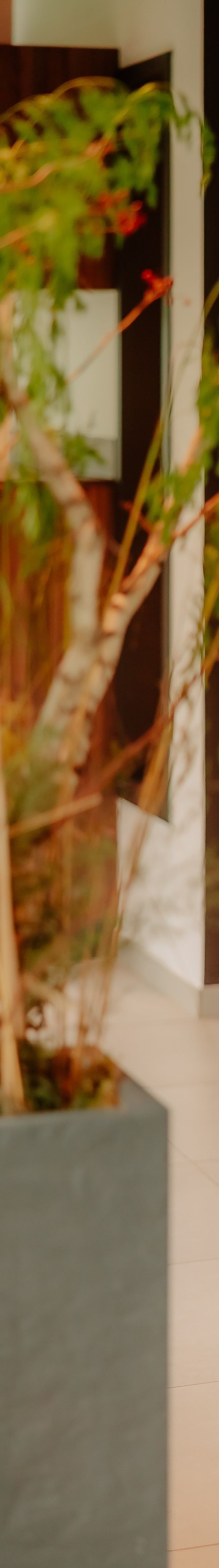 Via Plaza Meppen By Hackmann - Meppen