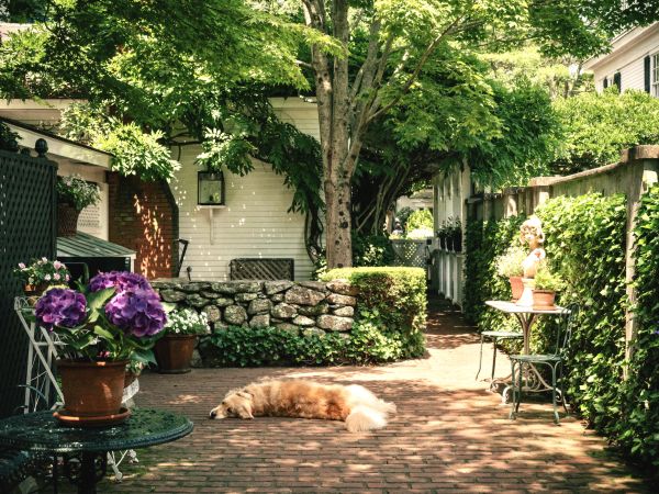 The Charlotte Inn - Oak Bluffs, MA