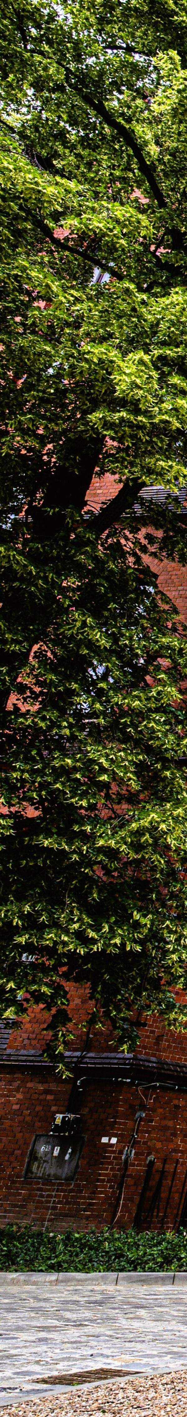 Arche Klasztor Wrocław - Wrocław