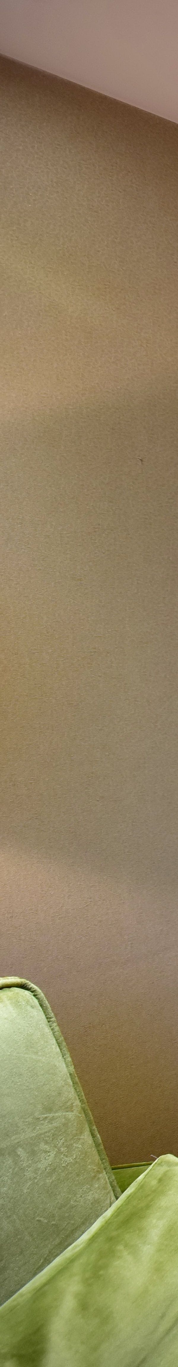 Rezen Select Pasonda Hotel Foshan Qiandeng Lake Park - Guangzhou