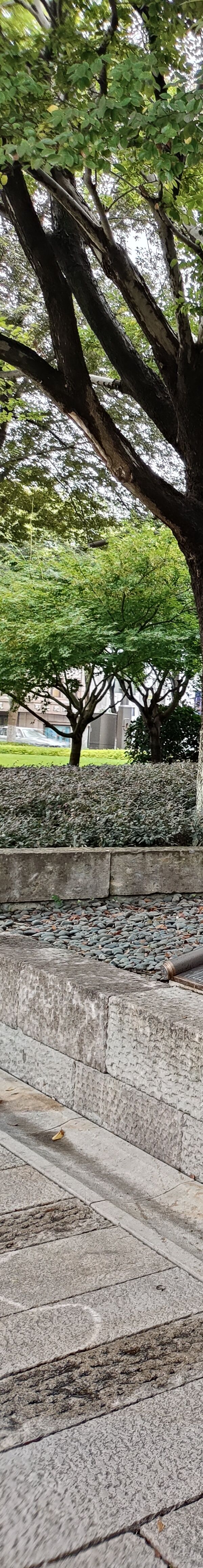 Jiaxing Nanhu Hotel - Jiaxing