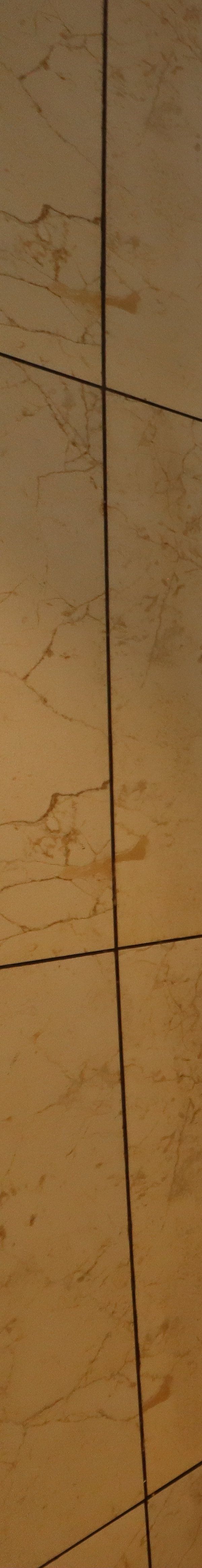 Mastiff Hotel Dhanbad - Dhanbad