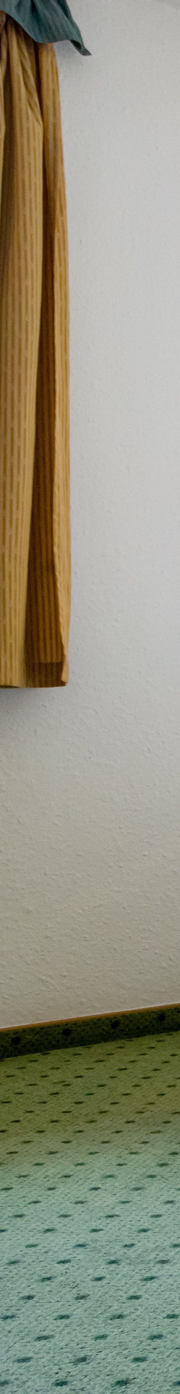 Brauner Hirsch - Harz