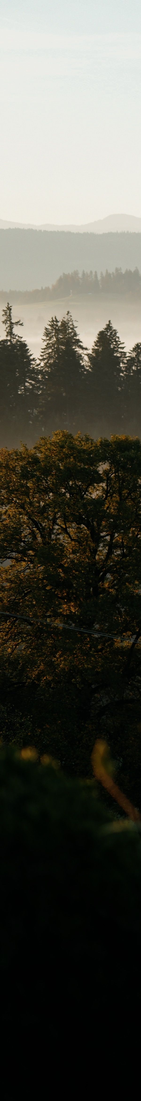 Berghotel Jägerhof - Isny im Allgäu