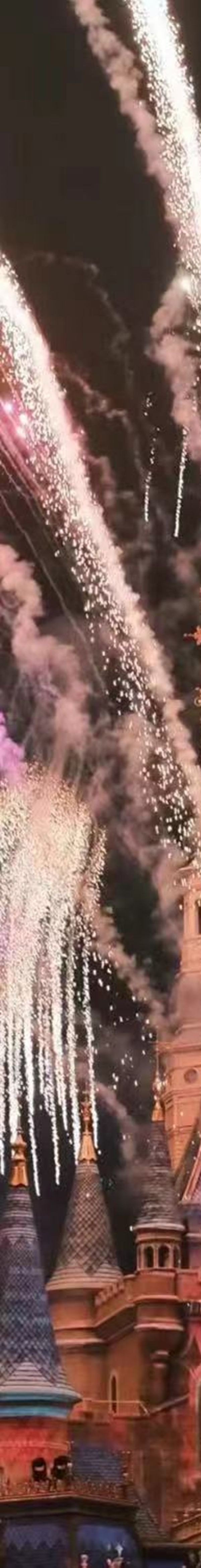 Haiyou Shanghai International Tourism Resort Chuanzhou Highway Hotel - Shanghai